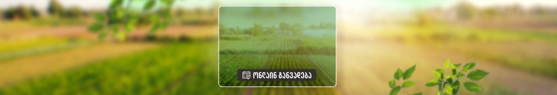 ტრაქტორები - Agrosphere